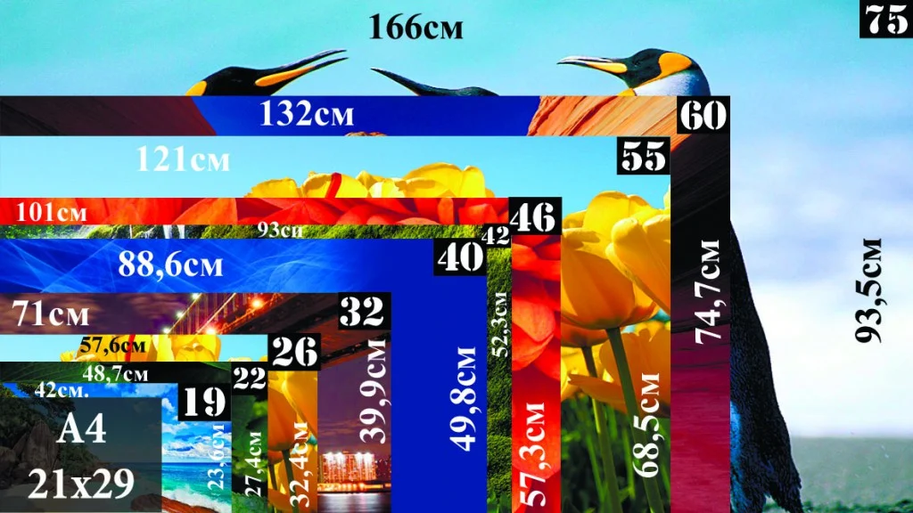 TV Og Monitorst rrelse H jde Og Bredde Afh ngigt Af Diagonalst rrelse TV Og Monitorst rrelse H jde Og Bredde Afh ngigt Af Diagonalst rrelse